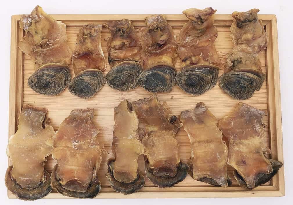 Dried sliced whelk Conch Slices with Shell 連殻螺片 - Grand Gift