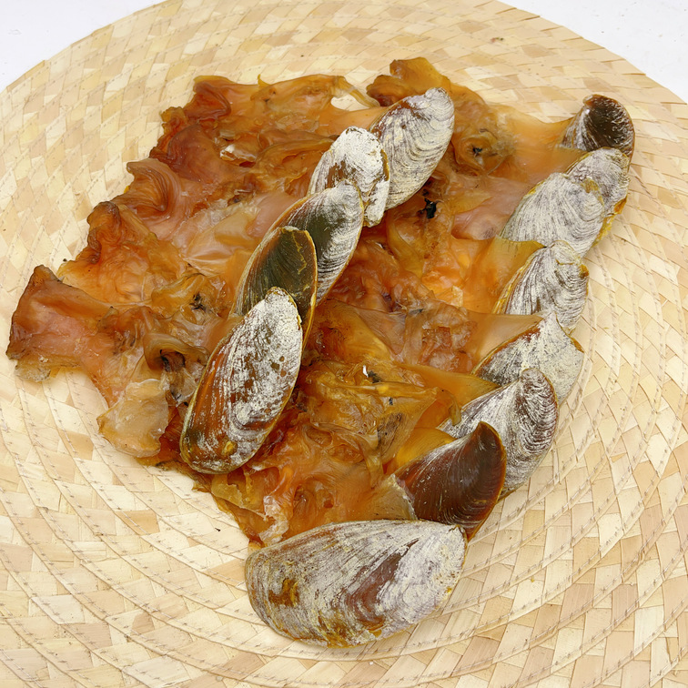 Dried sliced whelk Conch Slices with Shell 連殻螺片 - Grand Gift